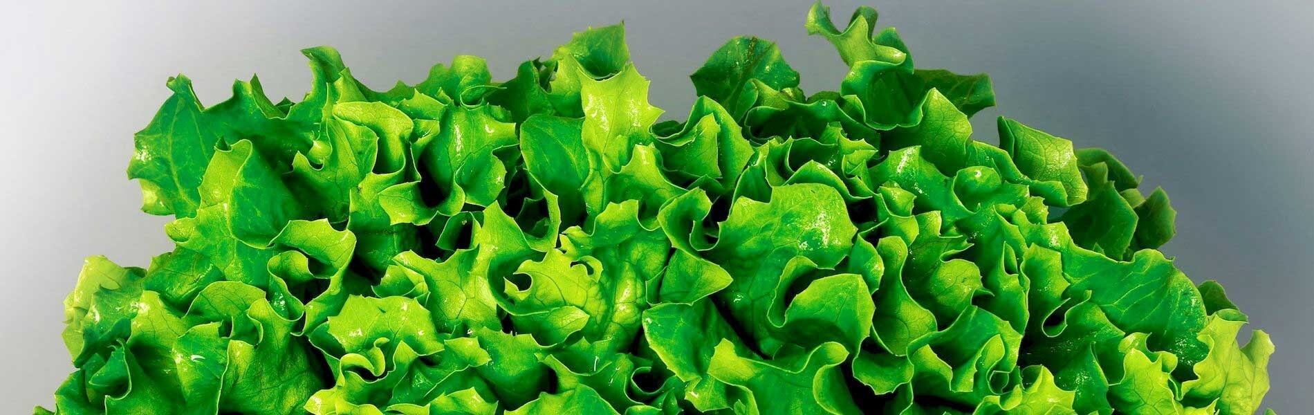 Découvrez Les Combinés Frigo/Congélateur Profresh | AEG Maroc